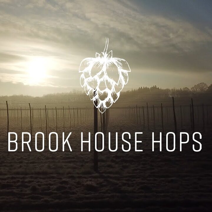 Brook House Hops - Goldings (Herefordshire) T90 Pellets