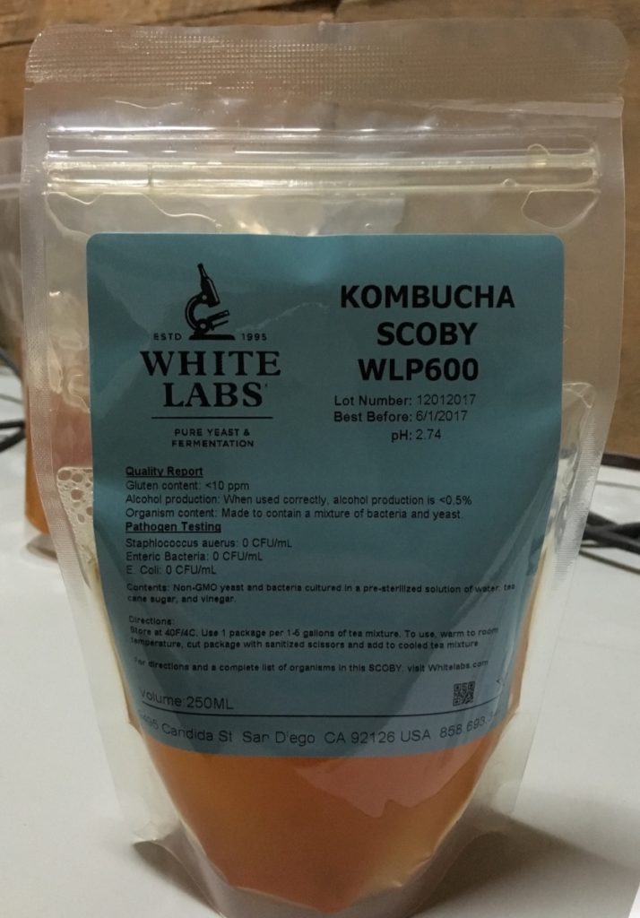 WLP600 Kombucha SCOBY - Ferment Sweet Tea with White Labs