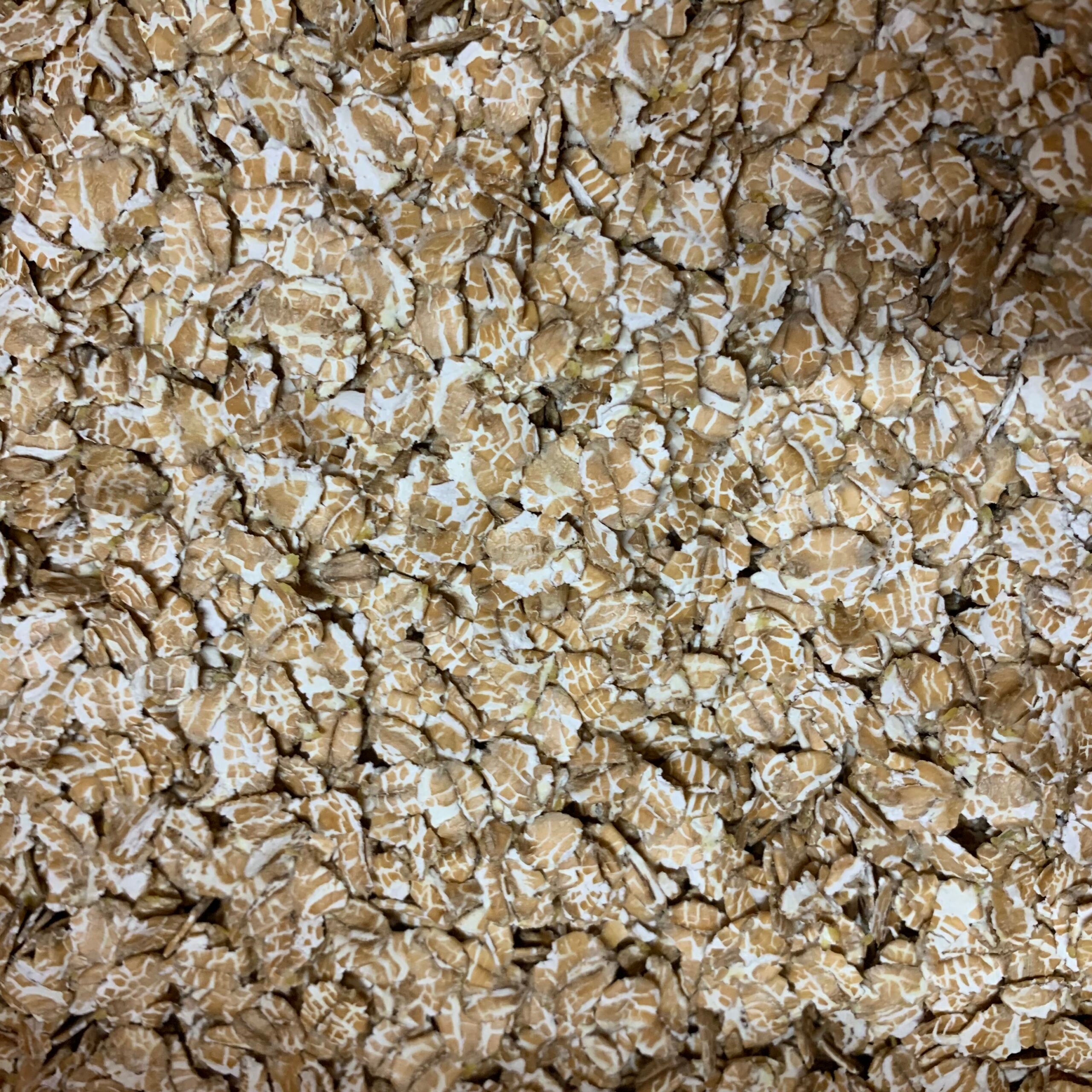 Buy Wheat Flakes for Brewing | Enhance Flavour & Beer Head