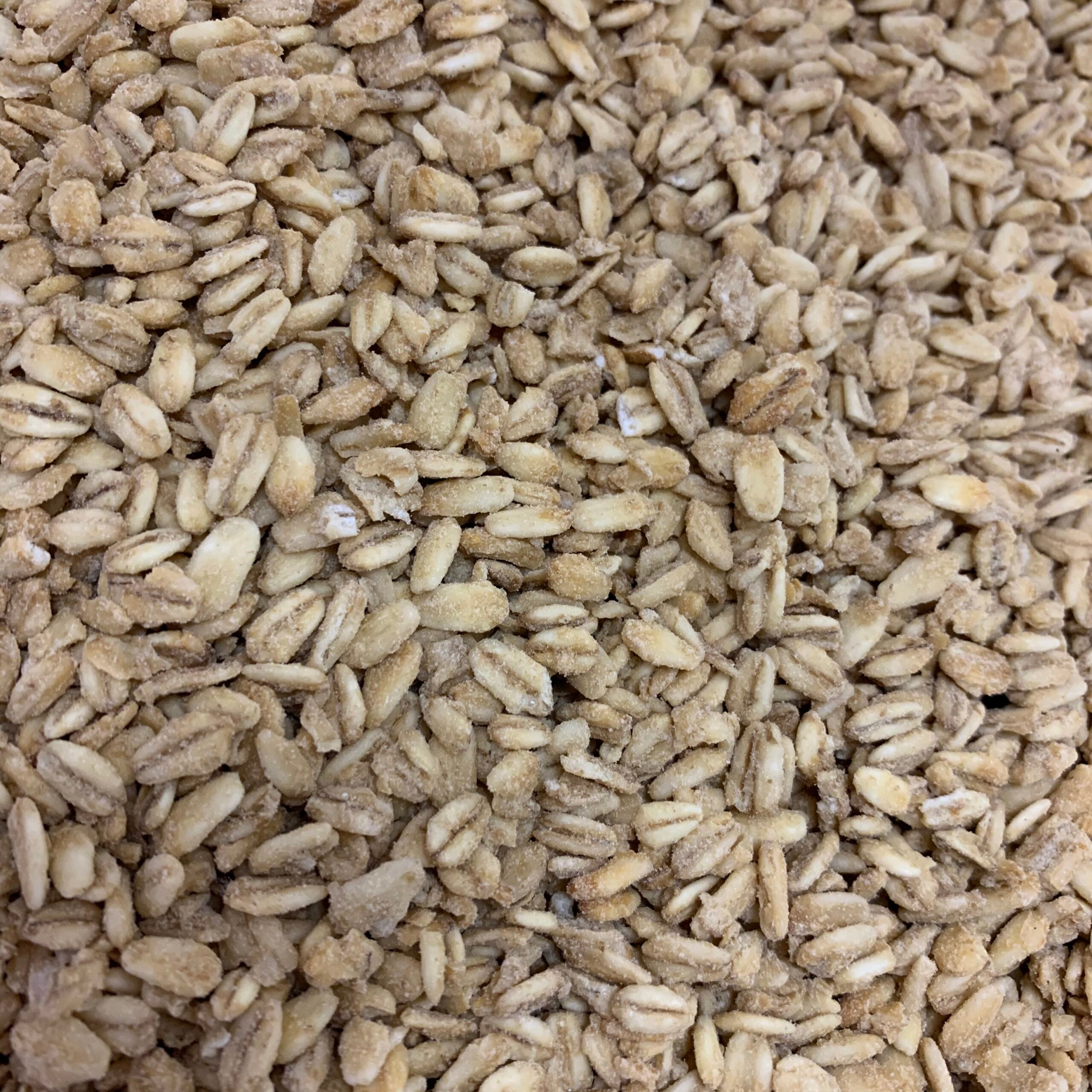 Buy TMM Toasted Malted Oats Flakes 25kg – Creamy & Nutty Brew