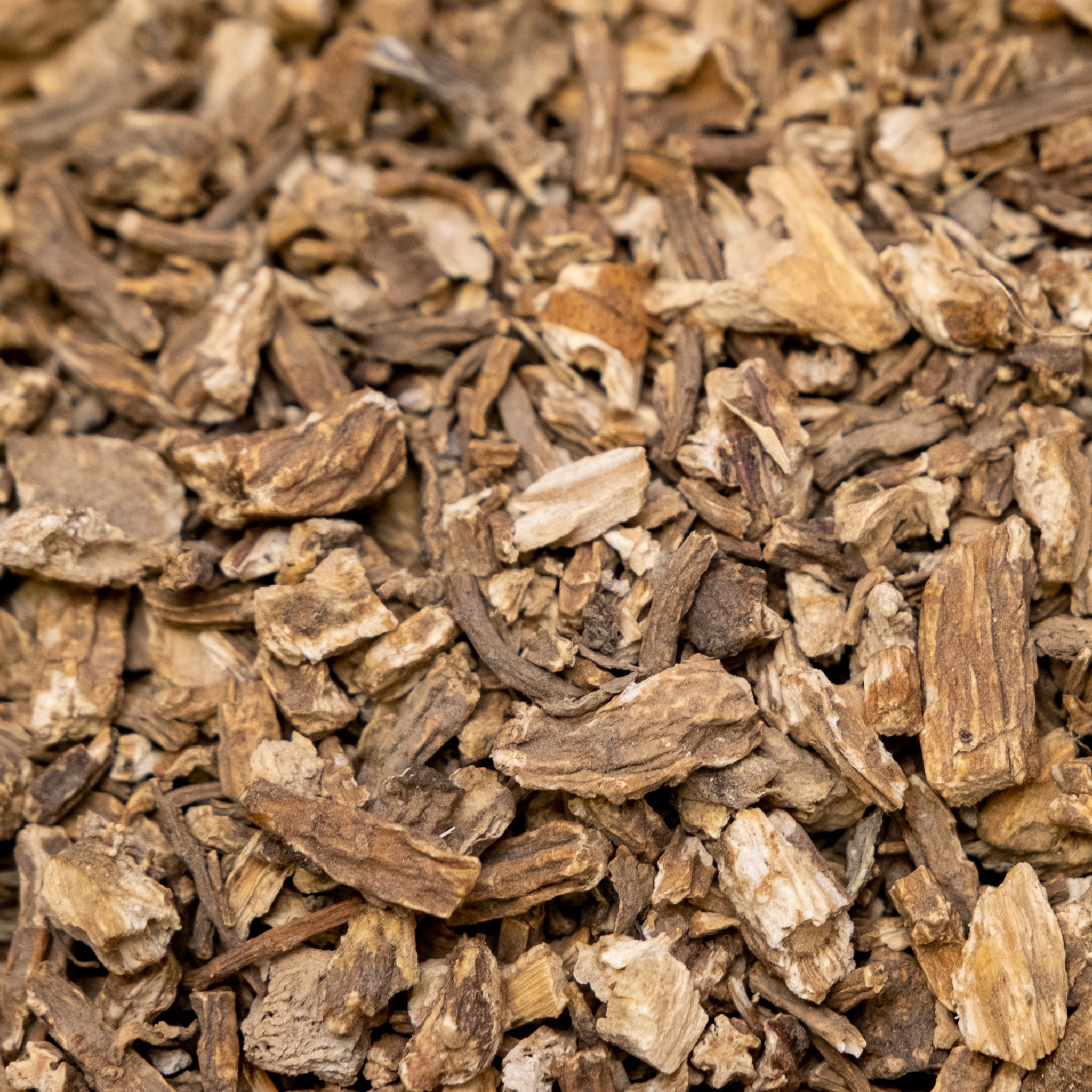 Angelica Root 50g - Earthy, Herbal Flavour for Gin & Tonics