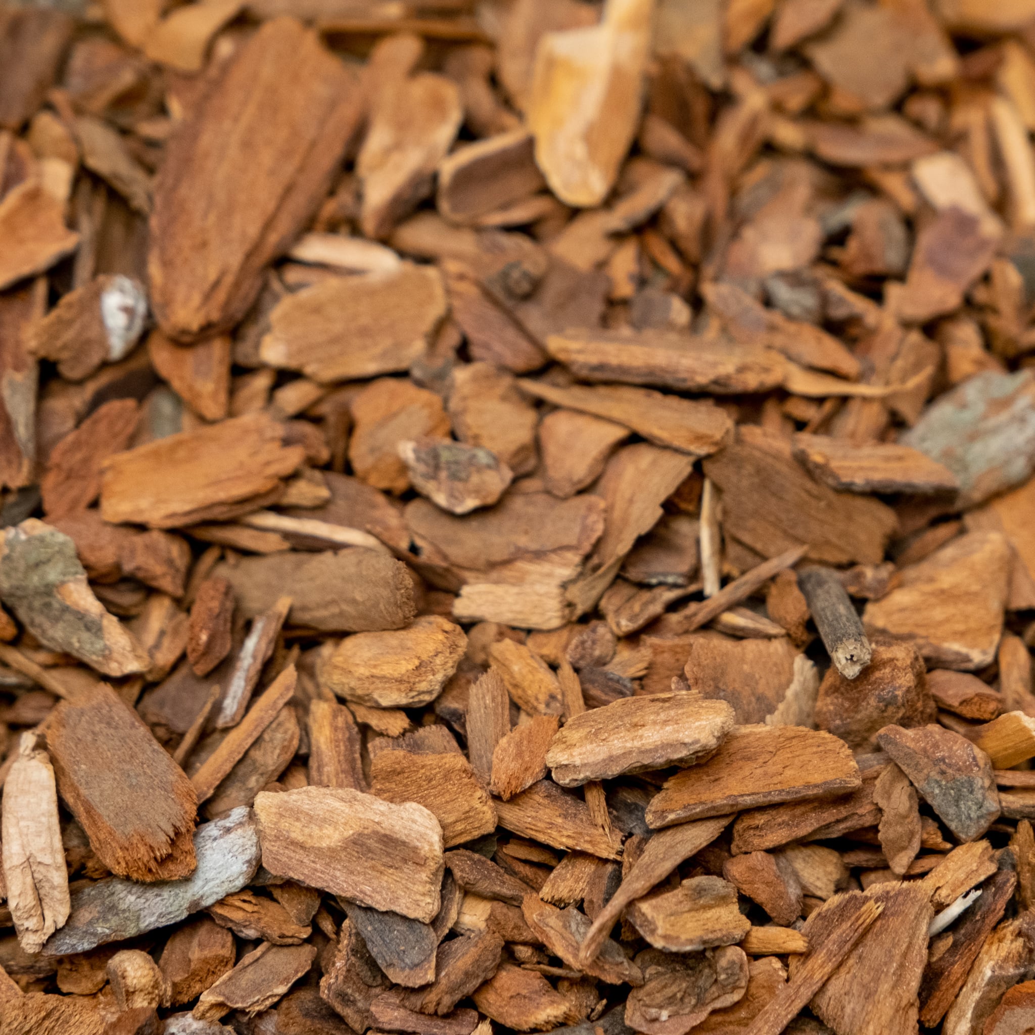 Cinchona Bark Quinine