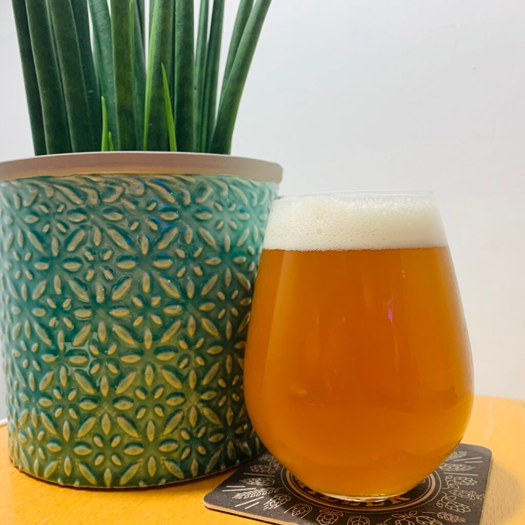 Old Man Peabody West Coast IPA - Strata Hops, 7% Piney Brew