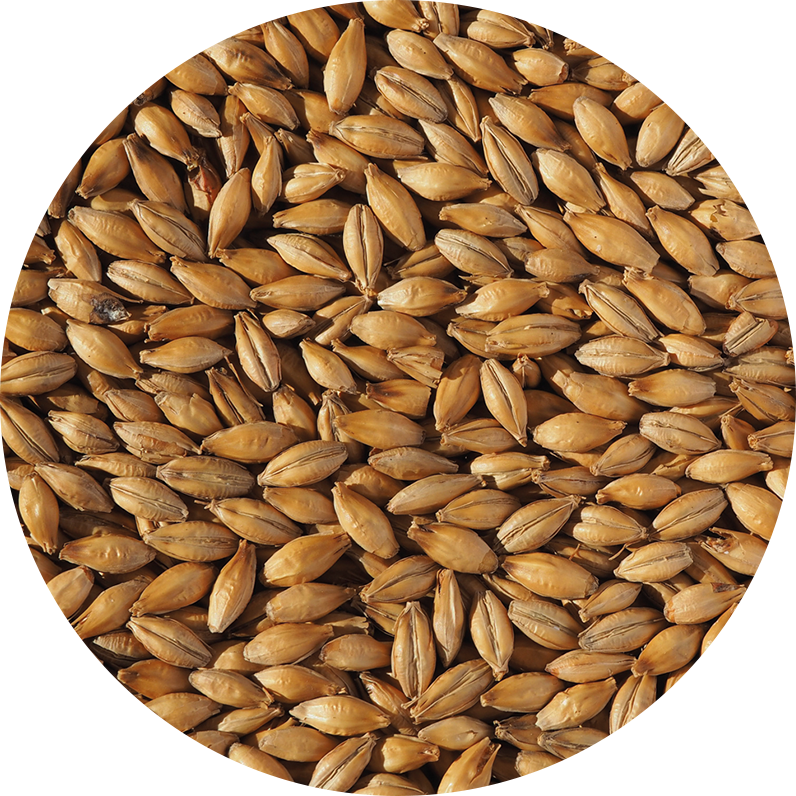 Crisp Premium Pot Still Distilling Malt - The Malt Miller
