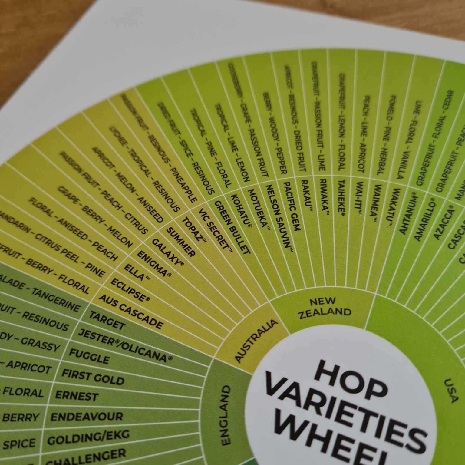 BeerDredge Flavour Wheel Set - Enhance Beer Tasting & Education