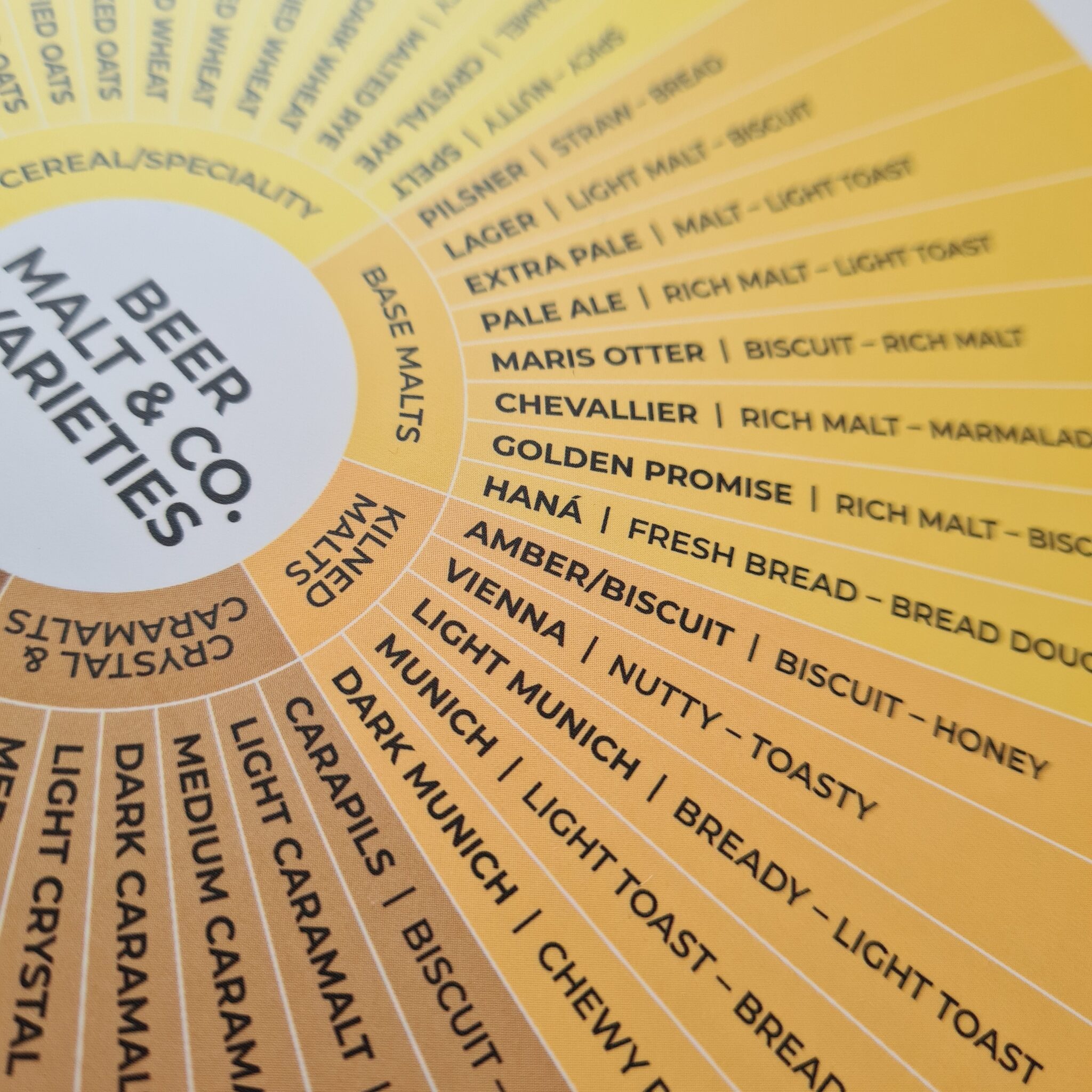 BeerDredge Flavour Wheel Set - Enhance Beer Tasting & Education