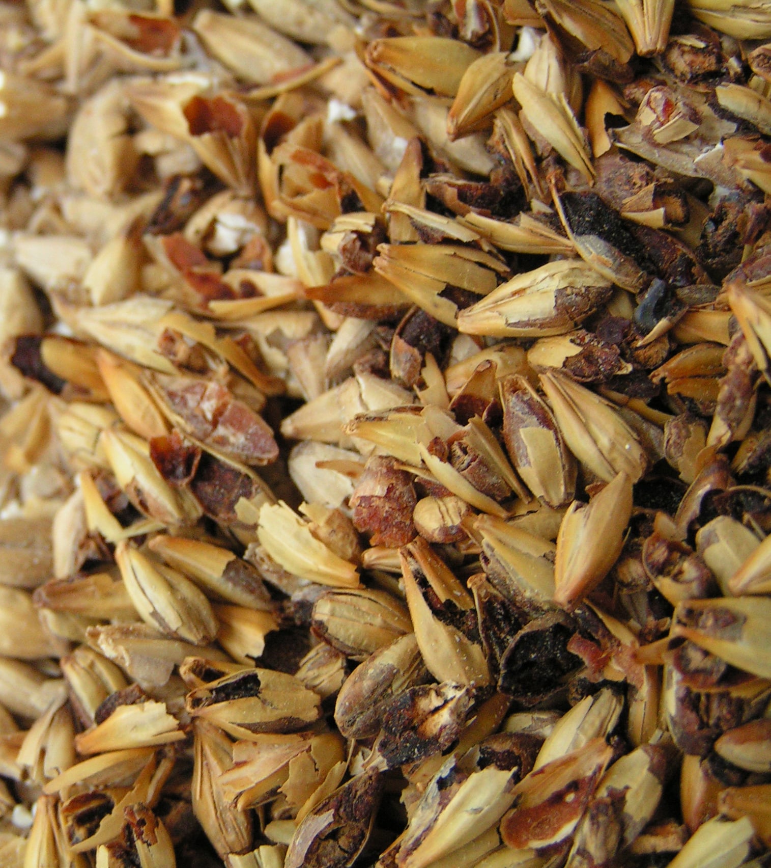 Brew With Us ESSENTIALS – crystal and roasted malts