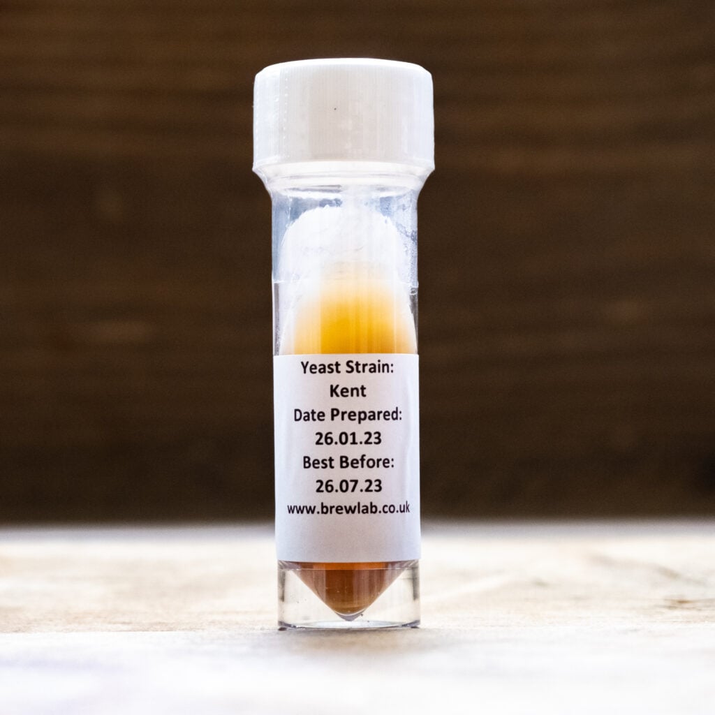 Kent Ale Yeast - Brewlab Yeast Slope for Home Brewing | The Malt Miller