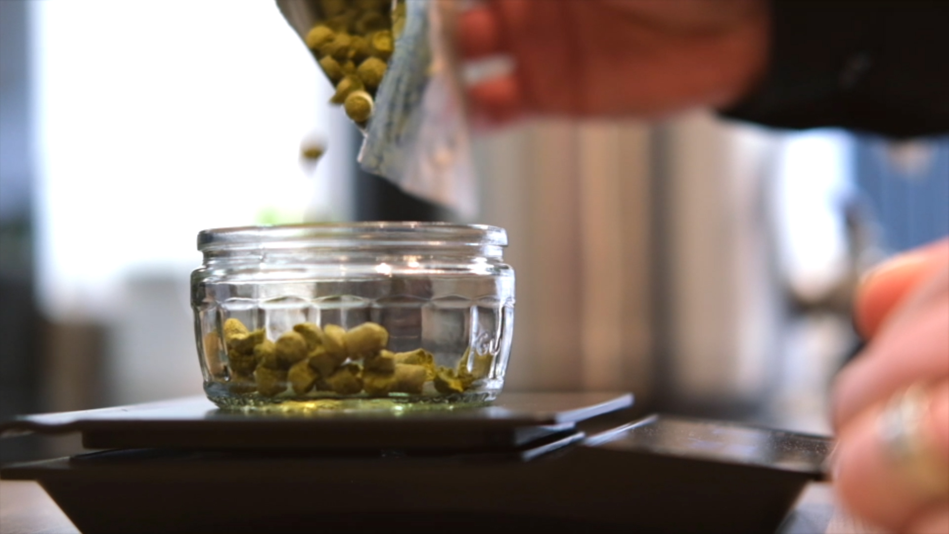 Brew With Us – 5L Kitchen Brewer instructions