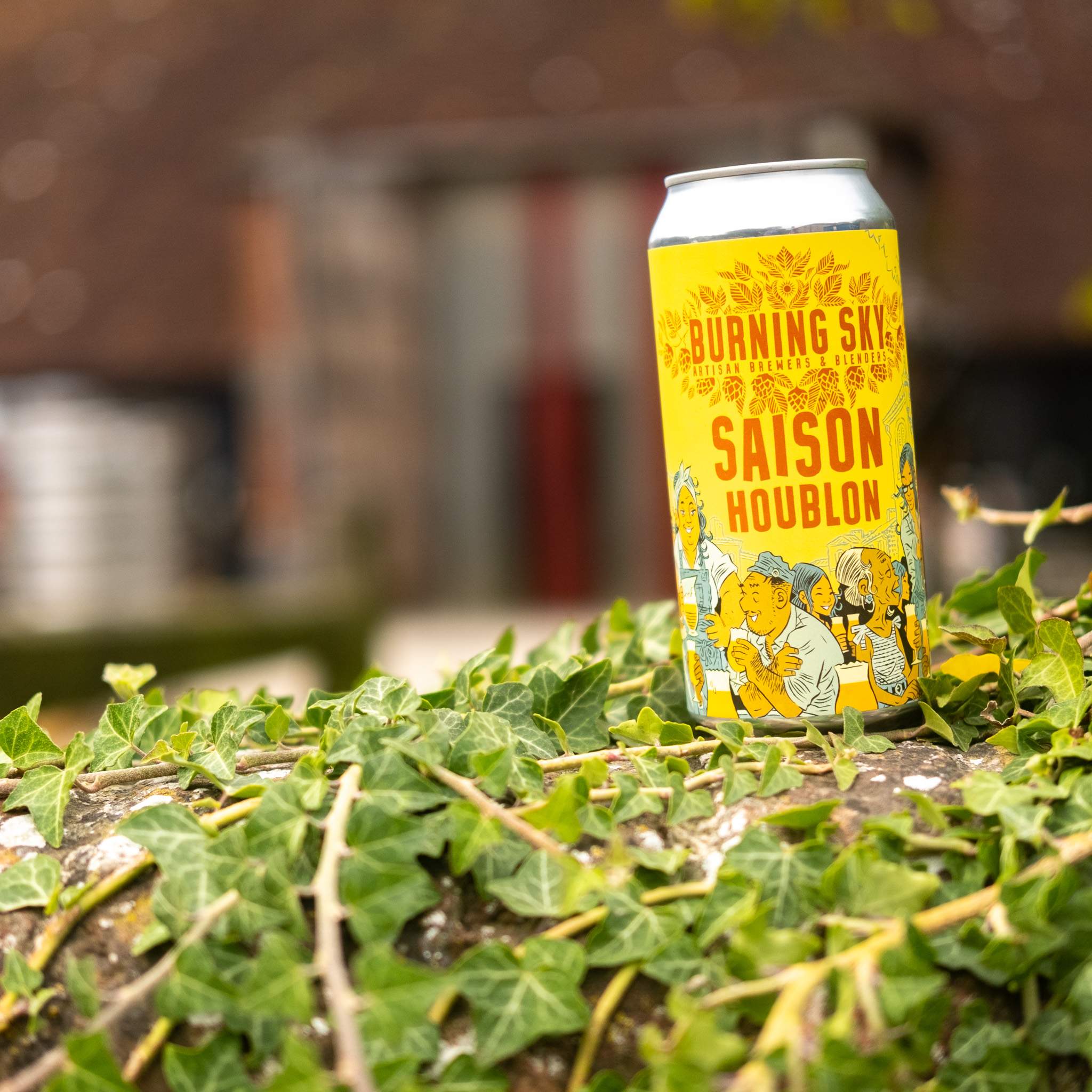 Saison Houblon Recipe Kit - Brew Your Own Craft Saison Beer