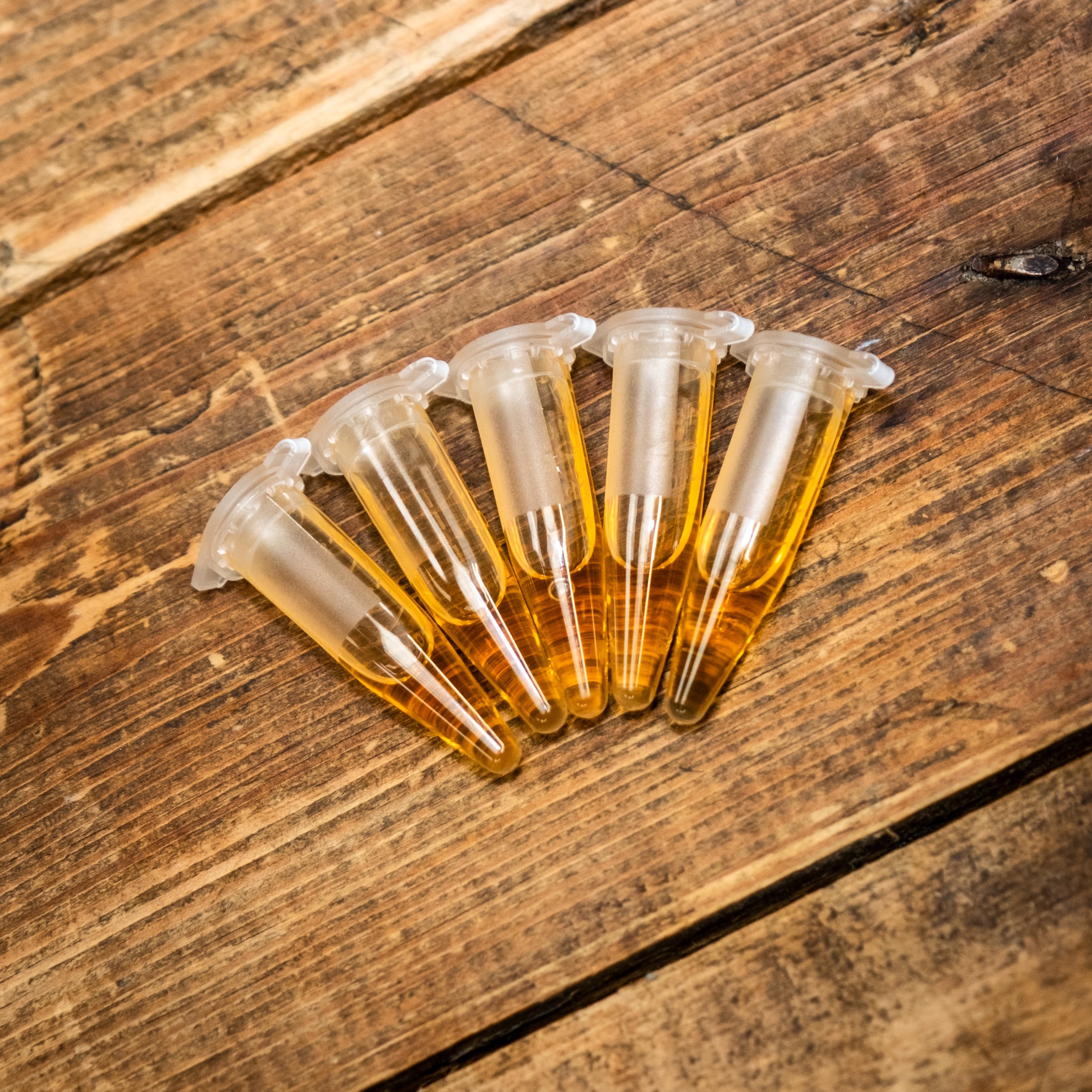 TMM ALDC 6 x 5 - Reduces Diacetyl Production | The Malt Miller