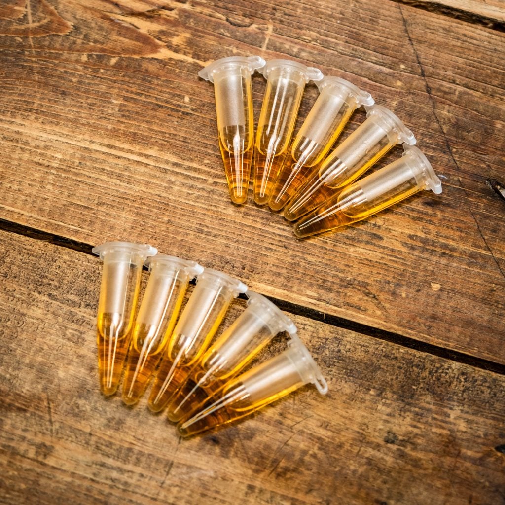 Diacetyl Reduction ALDC - 10 x 23L Doses | The Malt Miller