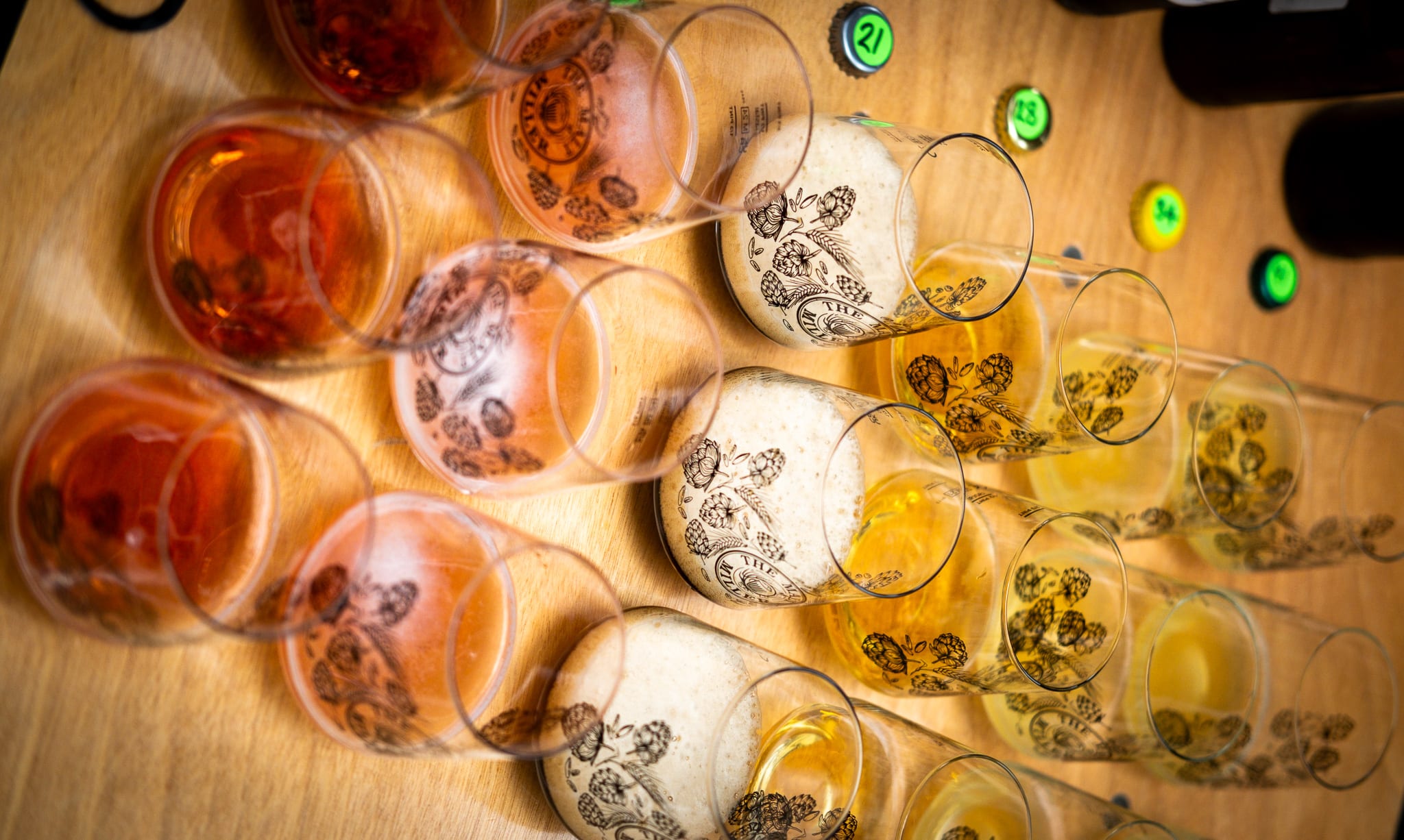 Elusive Brewing 9th Birthday Home Brew Comp – The Results