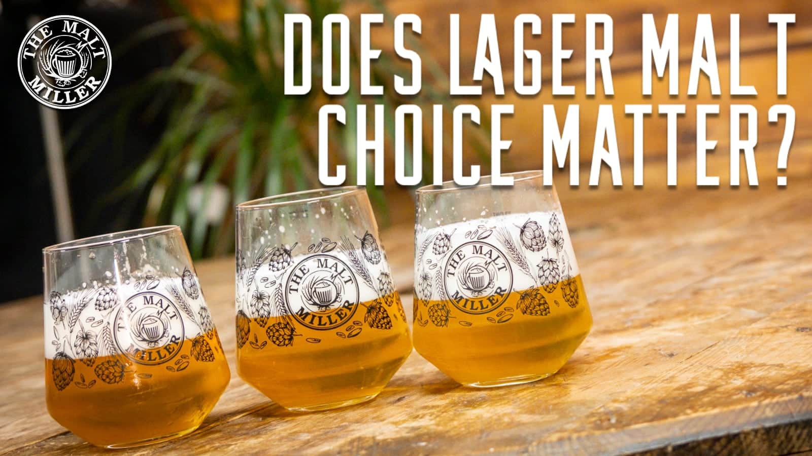 Best Base Malt for Homebrew Lager Compared